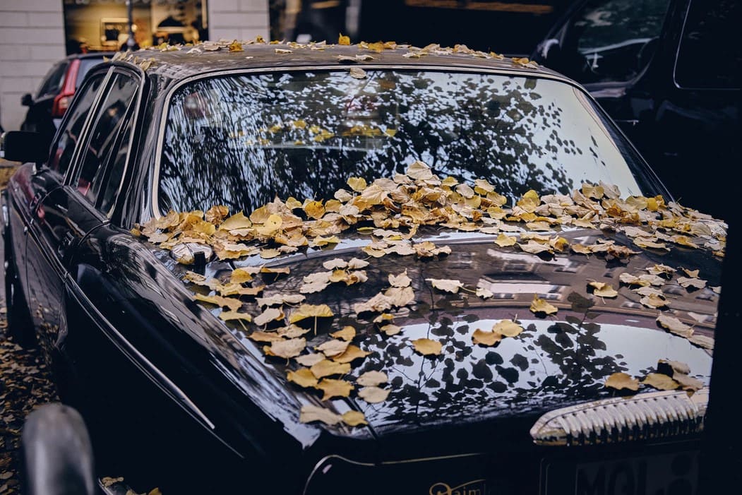 洗車はいつやるのがベスト？洗車と天気の関係とは｜カーコンビニ倶楽部